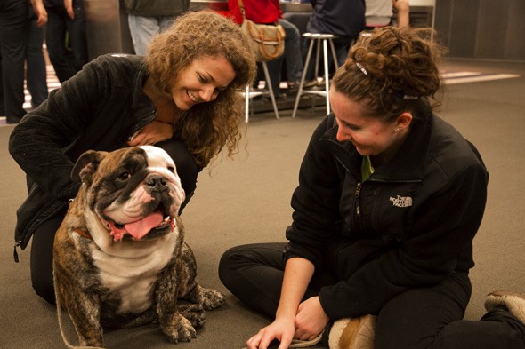 Drake students give thanks - Drake University Newsroom