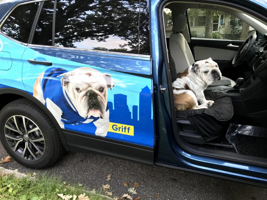 Drake University live mascot Griff to retire in June - Drake University ...