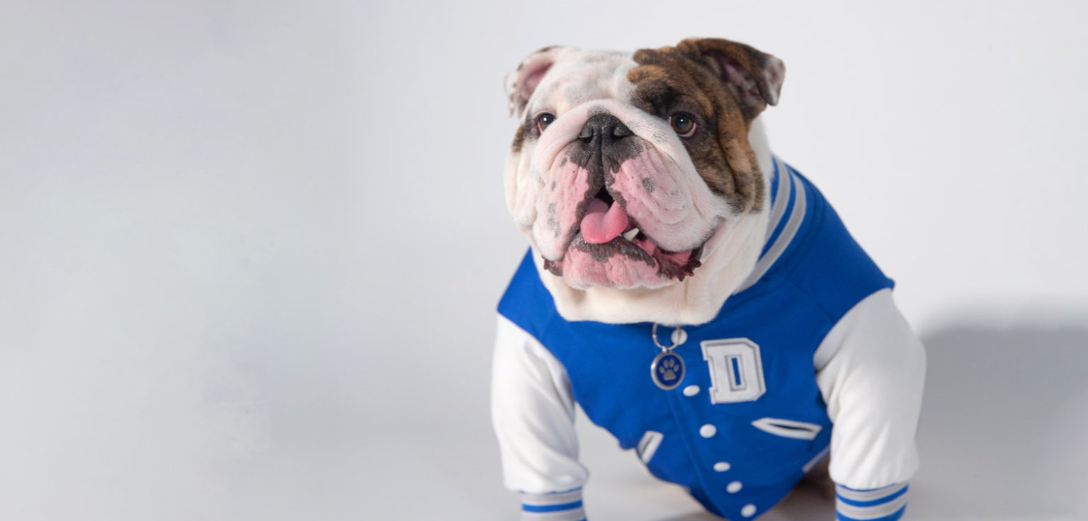 Drake University announces next live mascot, Griff II - Drake ...