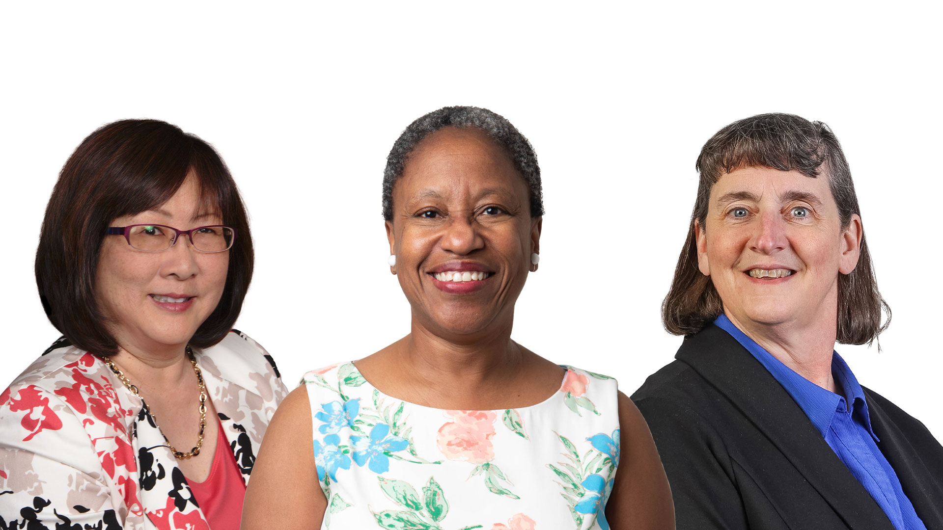 Drake OTD Faculty Hold AOTA Roster of Fellows Career Achievement Status ...