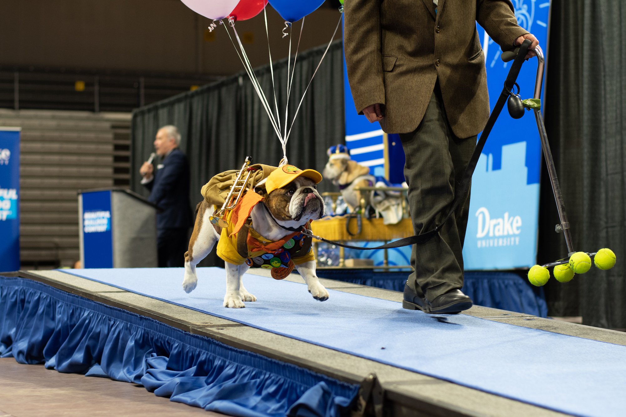 Drake University names 44th Annual Beautiful Bulldog Contest® winner ...